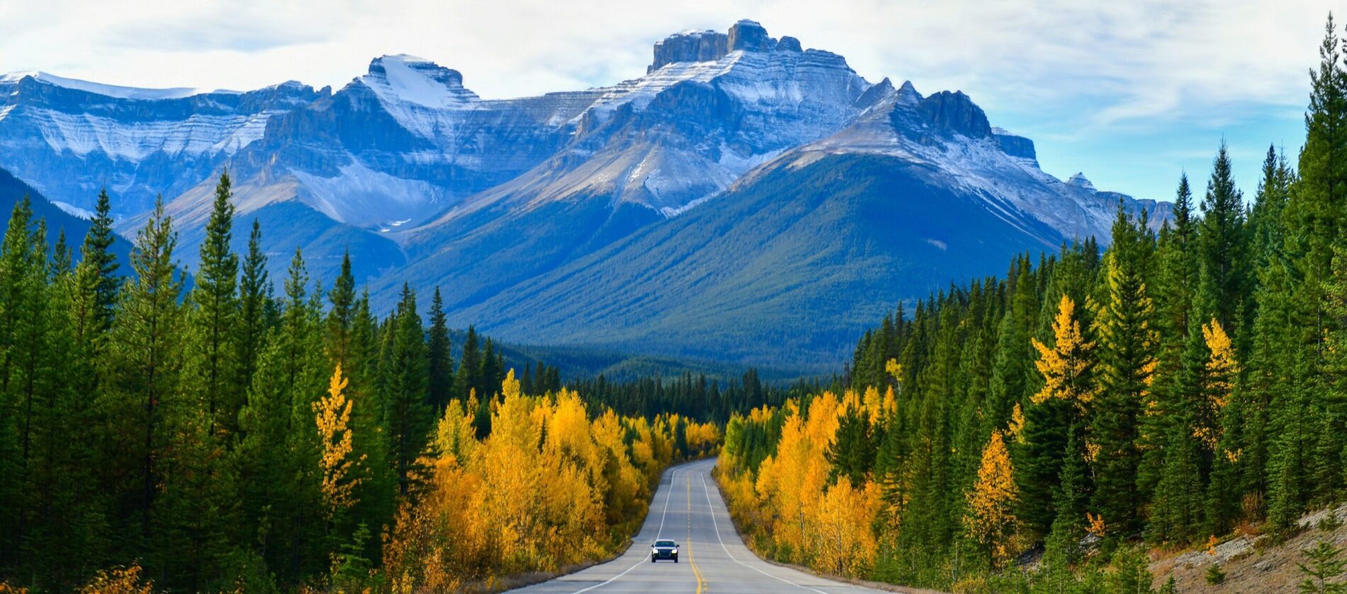 2021-2022 Consolidated Financial Statements of the Province of Alberta ...